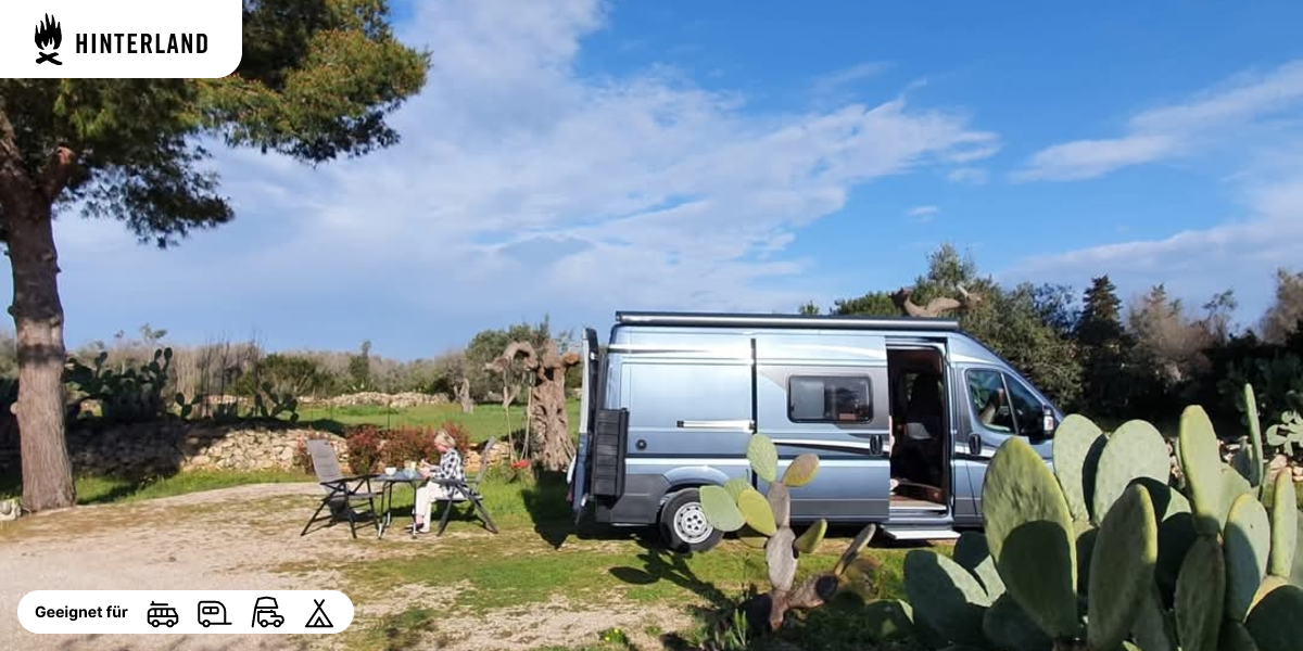Authentic refuge: nature, olive trees and relaxation