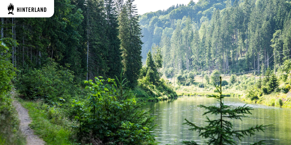 Camping in Saxon Switzerland: private pitches in the countryside