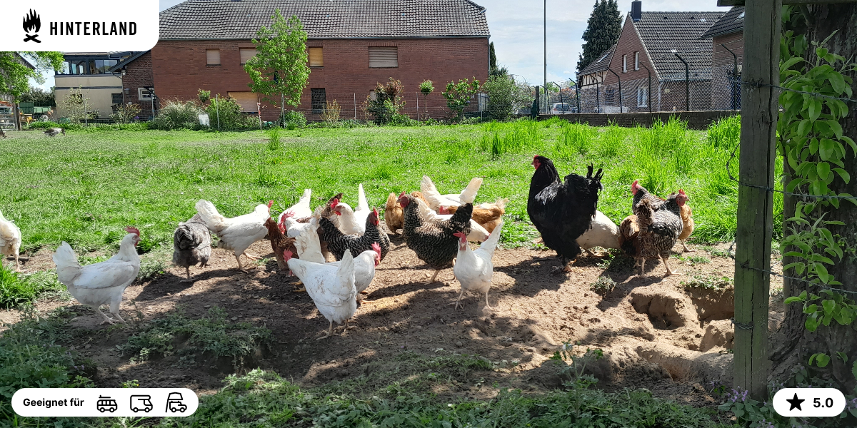 Tierischer Bauernhof im Naturpark Schwalm-Nette
