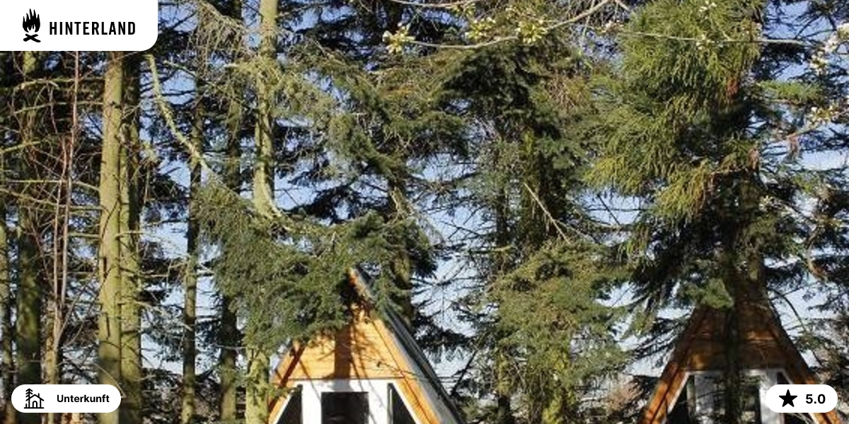 Waldhütte mit Sauna am Elbdeich