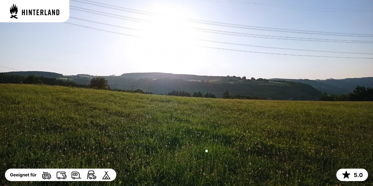 Fernsicht am Waldrand